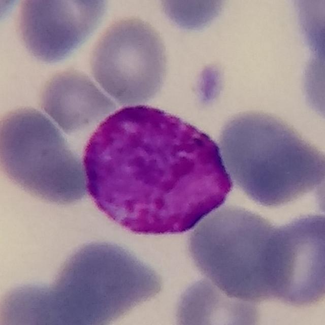 scope Object Detection Dataset and Pre-Trained Model by University Project