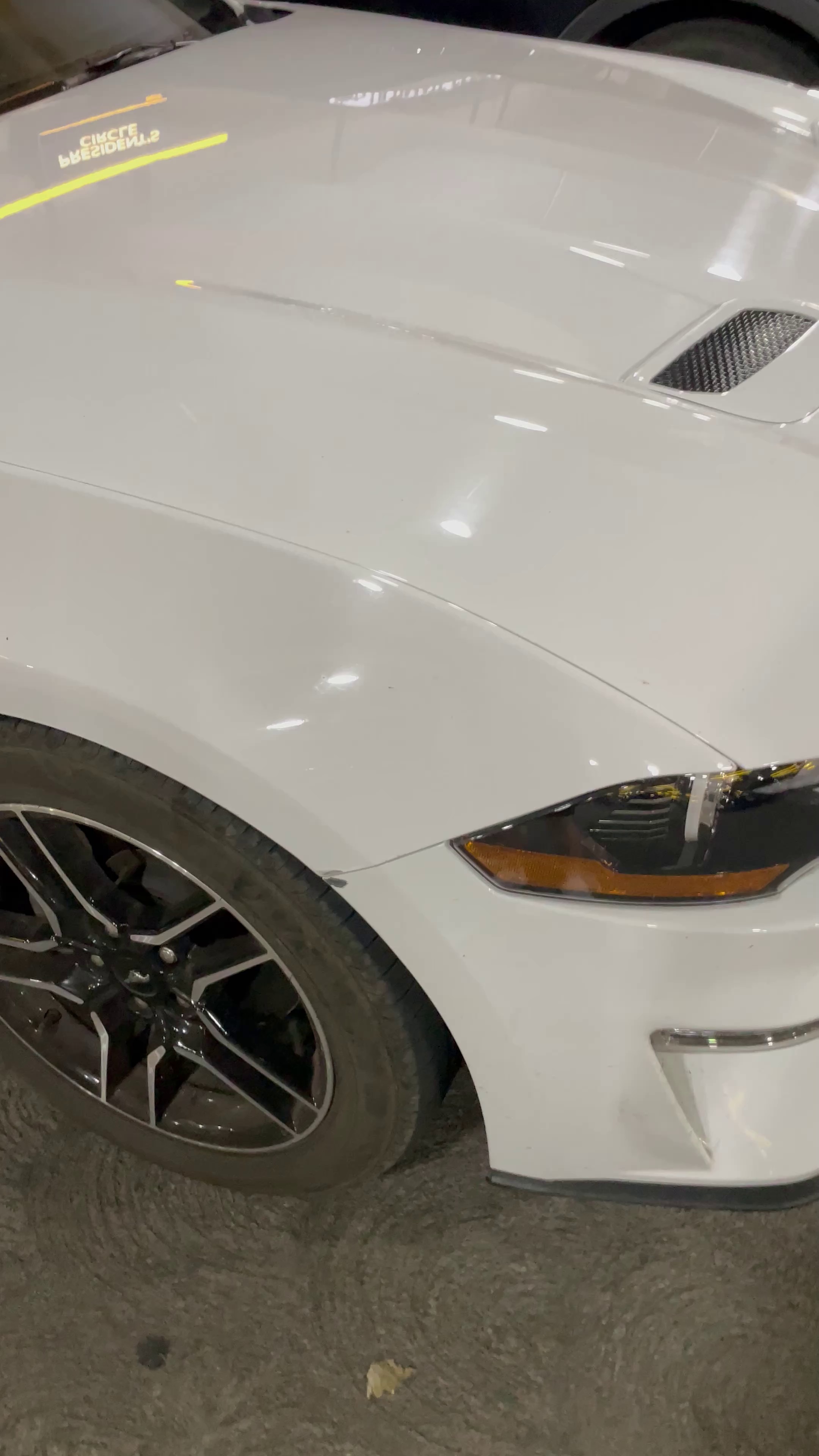 newdata0712 Instance Segmentation Dataset by damage