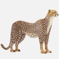 office dataset - Roboflow Universe