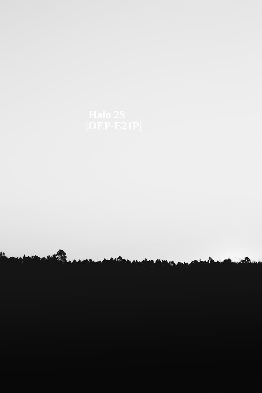 Oraimo Barcode Detection Object Detection Dataset by kholoud