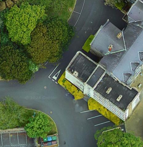 tree_UCD Instance Segmentation Dataset and Pre-Trained Model by myWorkspace