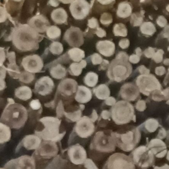 tree models - Roboflow Universe