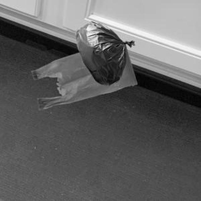 plastic bag detection Object Detection Dataset by imagelabelpalstic