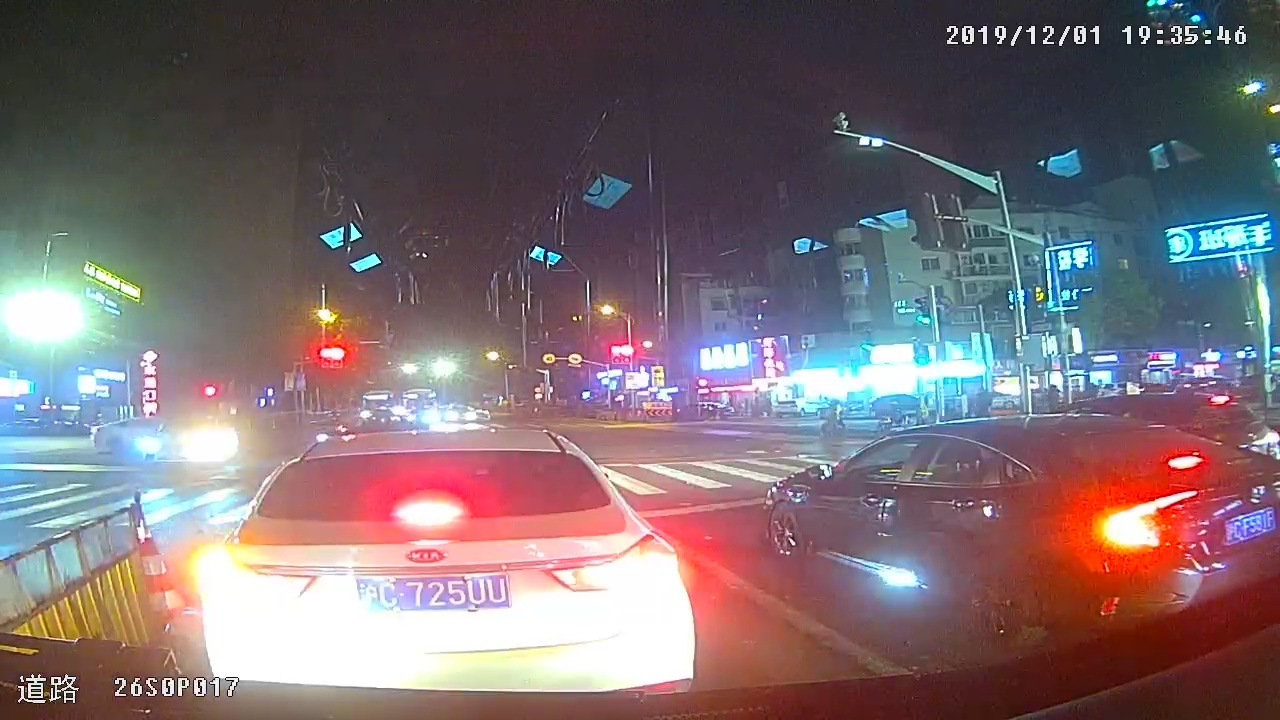 zebra crossing Object Detection Dataset by ash