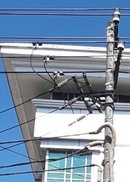 krang_tt Object Detection Dataset by Pleiku