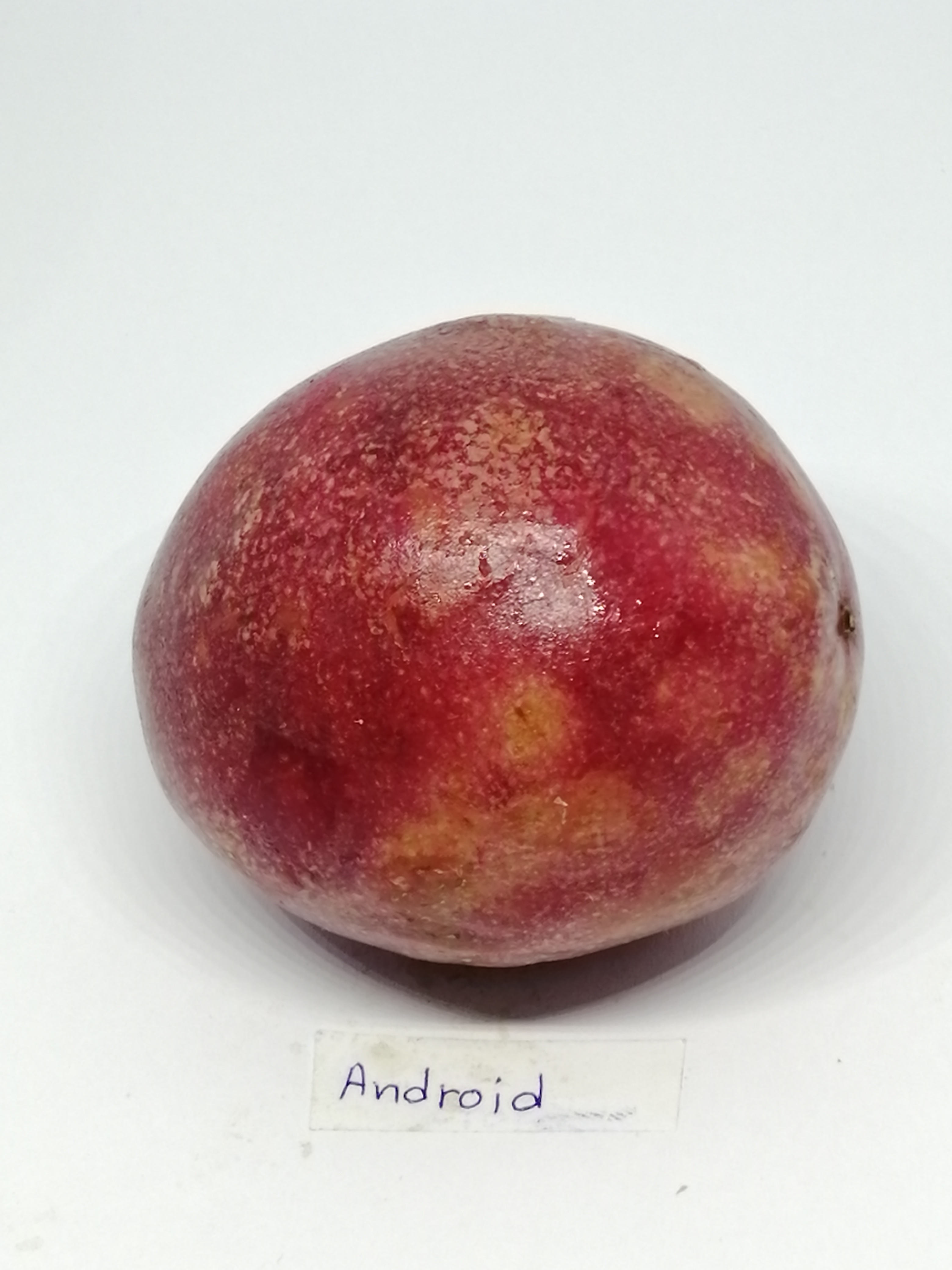 Passion Fruit Manual Object Detection Dataset And Pre Trained Model By