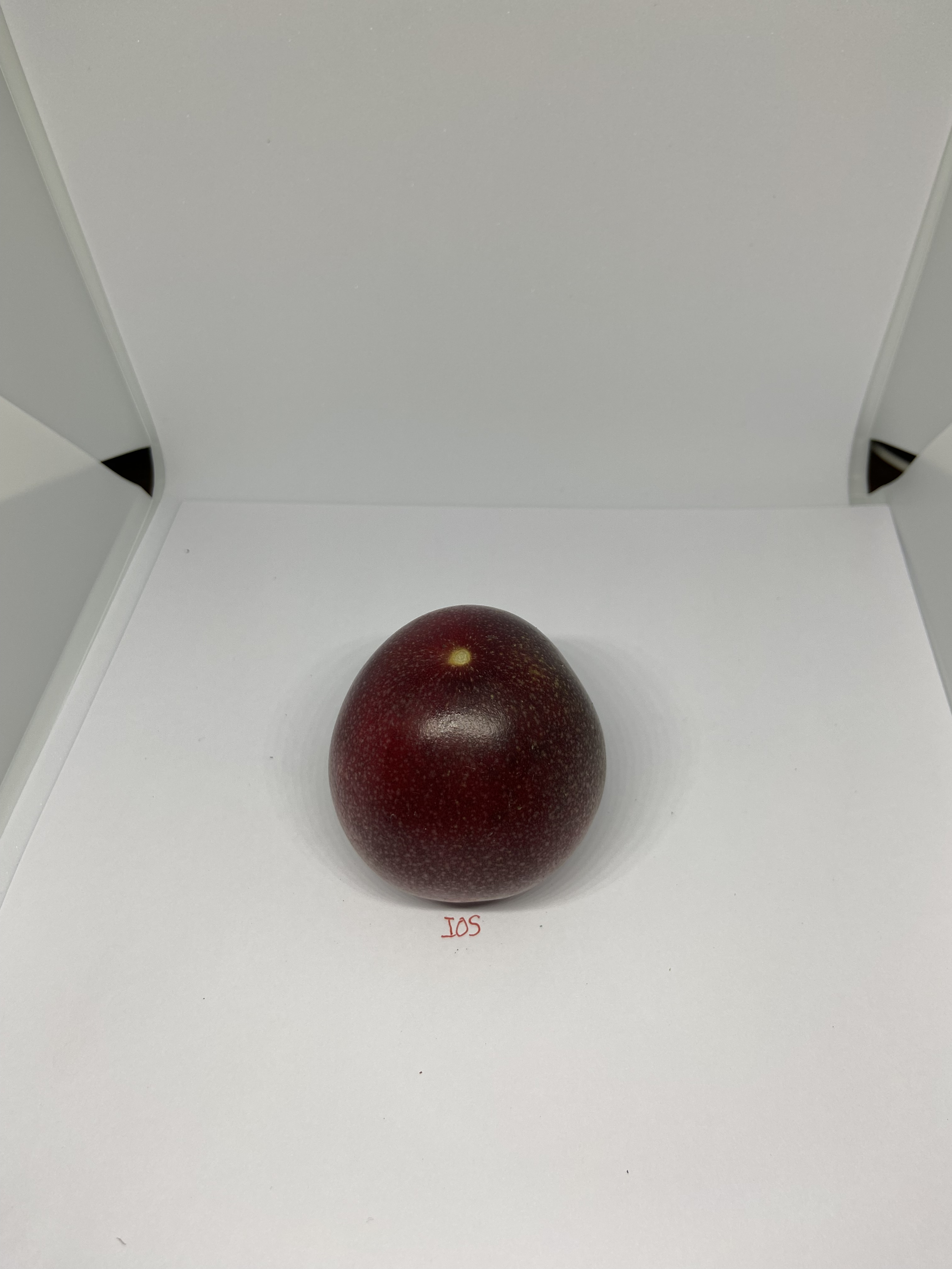 passion-fruit-manual V2 Object Detection Dataset by Fruit Detection