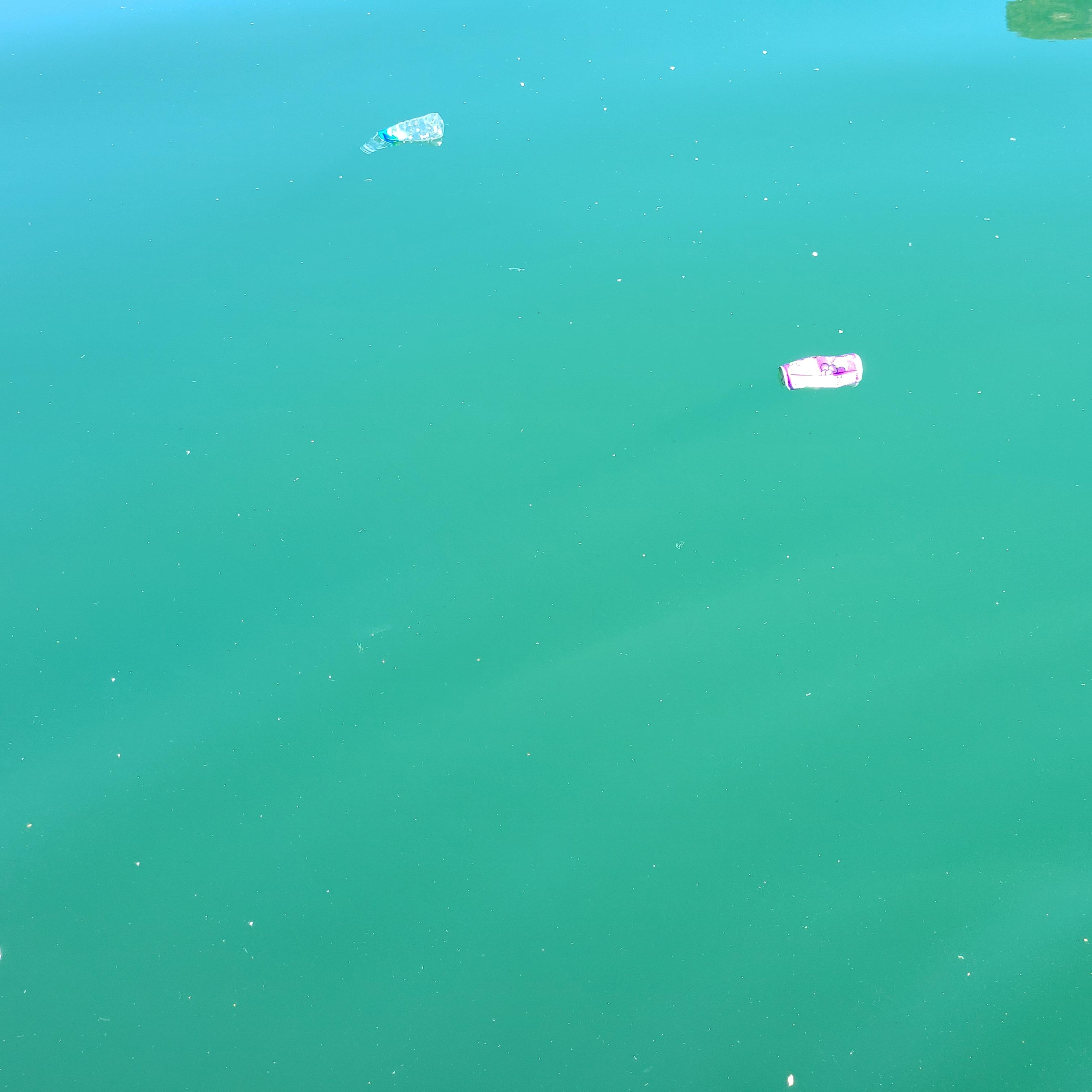 detect_float_waste Object Detection Model by MBCfloatdetectteam2