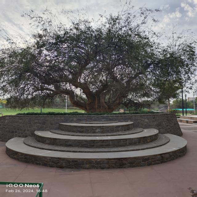 cdsf Object Detection Dataset by as