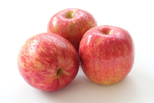 DATA Object Detection Model by for detection