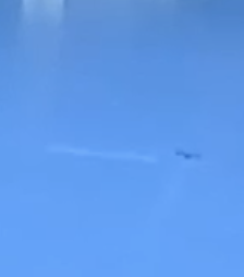 BALL-TILE Object Detection Dataset by FLORBALTESTSET