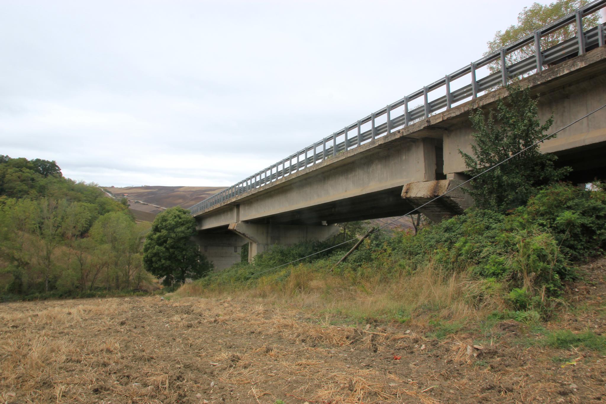 BRIDGE Object Detection Dataset by sylus kitten