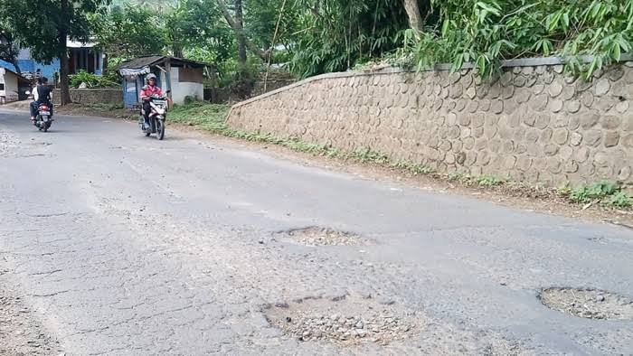 Test 1 Object Detection Dataset And Pre Trained Model By Yusuf