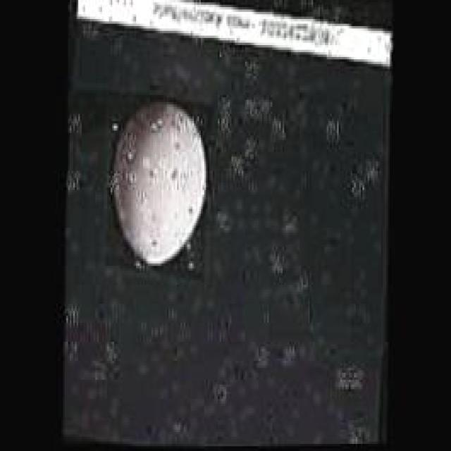 Data (data-hjqge) - Roboflow Universe