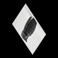 detect (detect-44x4l) - Roboflow Universe