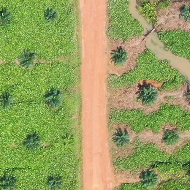Palm Health Detection Object Detection Dataset By Palmcounting