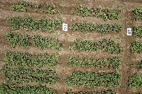 MLA (mla-koxq9) - Roboflow Universe