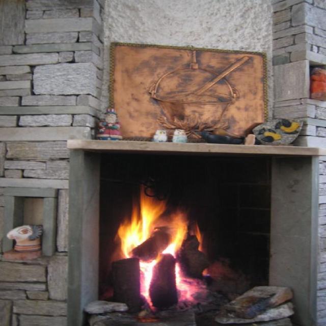 How to Use the fire_detection Instance Segmentation API