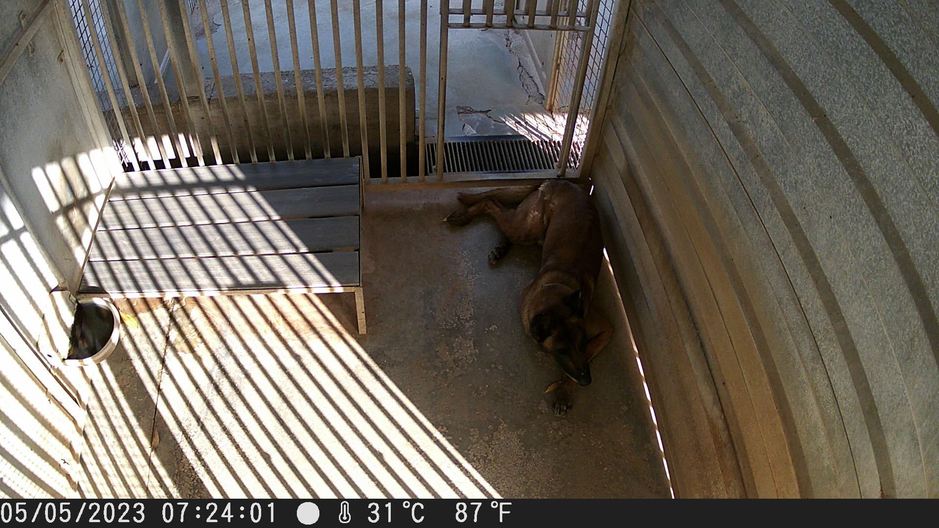 MAN_working_dog_gate_detection Object Detection Dataset by gate