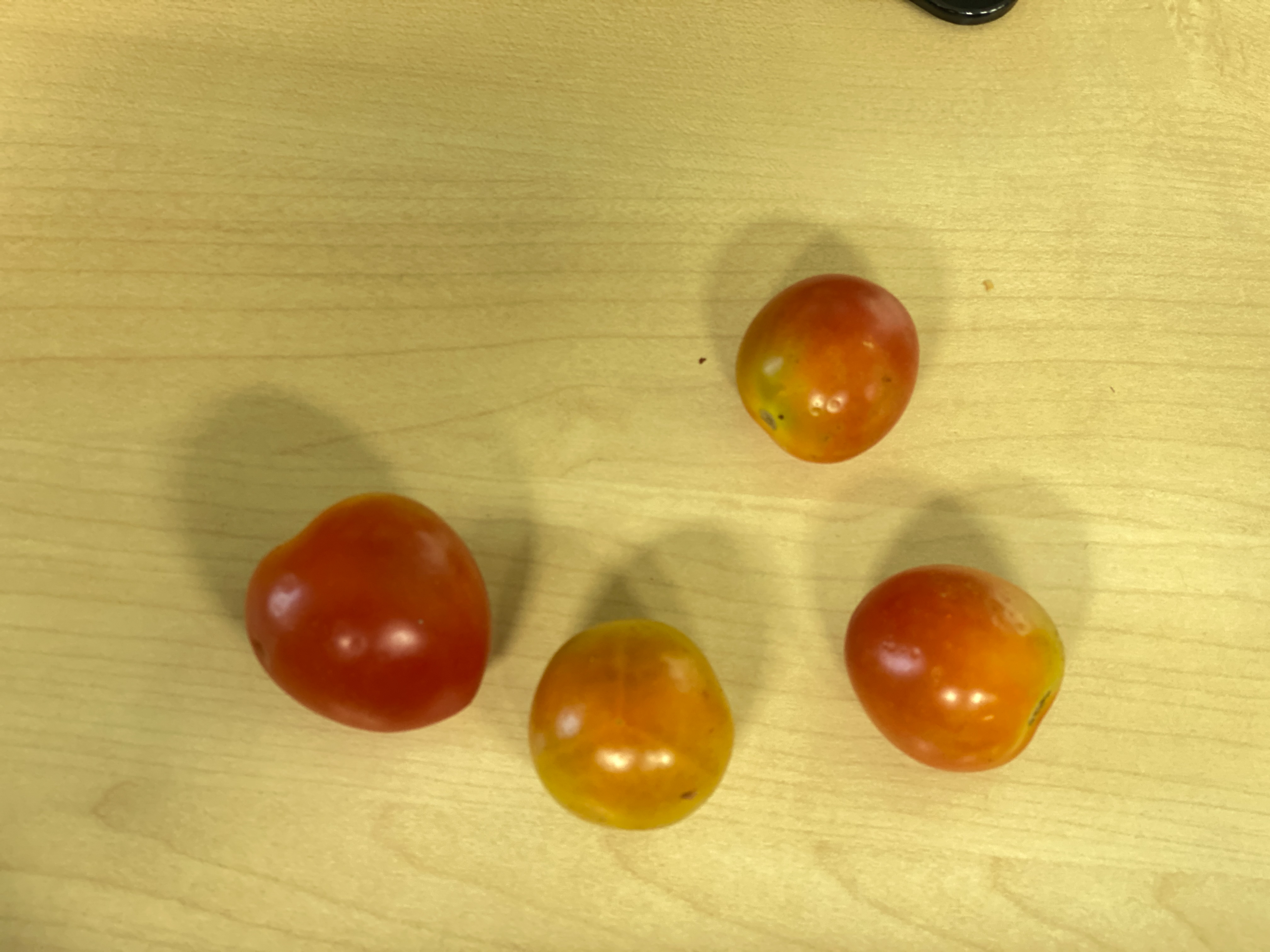 project265 Object Detection Model by project265