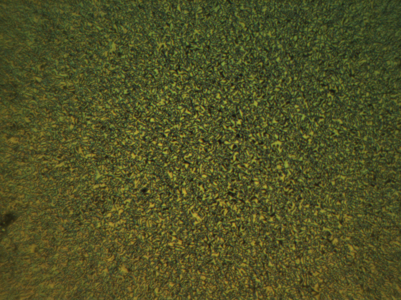 Cell Defects Object Detection Dataset by Przemek Kobylański