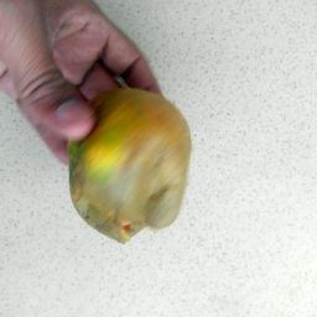 Ripeness Fruit Detection - Roboflow Universe