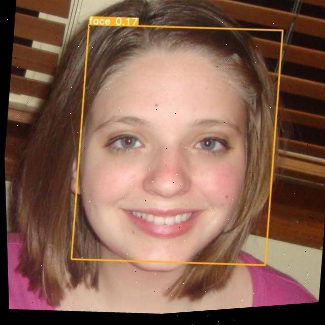 face Object Detection Dataset by asd