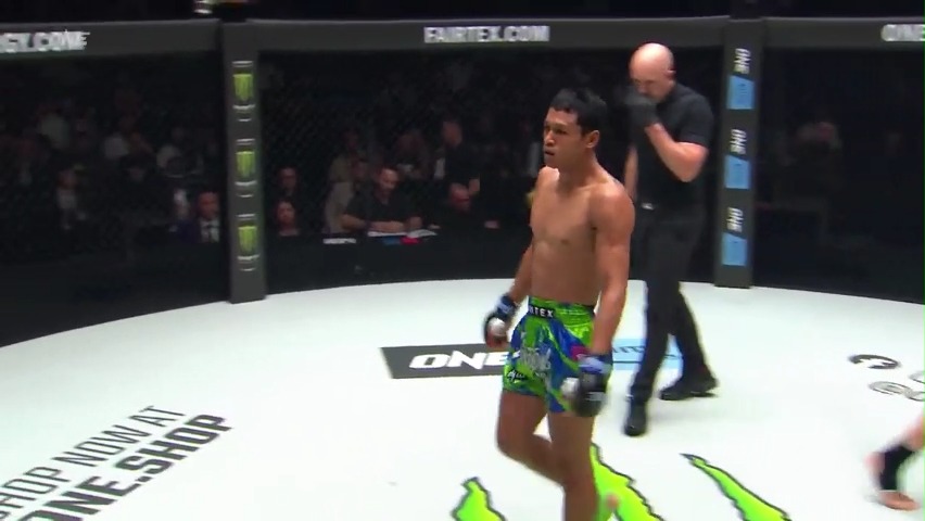 UFC-Projet-final Object Detection Model by ufc projet