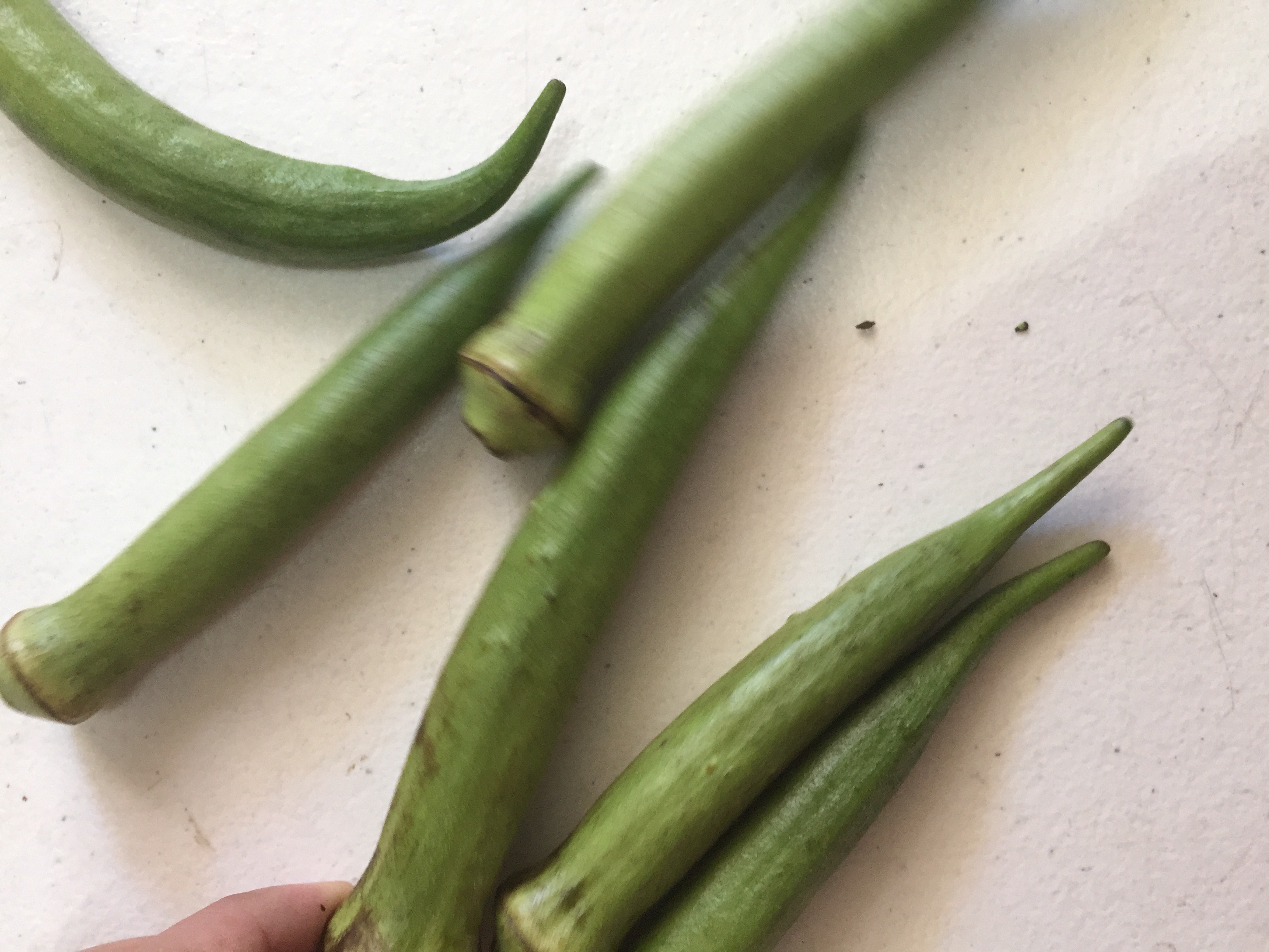 Okra Object Detection Dataset By Olrnd