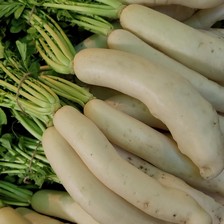 radish Object Detection Dataset by olrnd