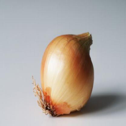 onion Object Detection Dataset by olrnd