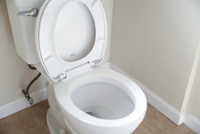 toilets-seg Instance Segmentation Dataset by absolutnie 4erti