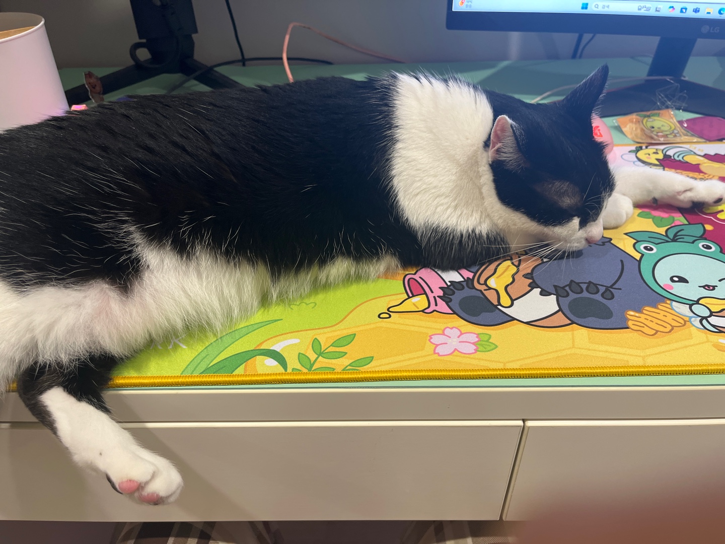 Cat,human Object Detection Dataset and Pre-Trained Model by CV