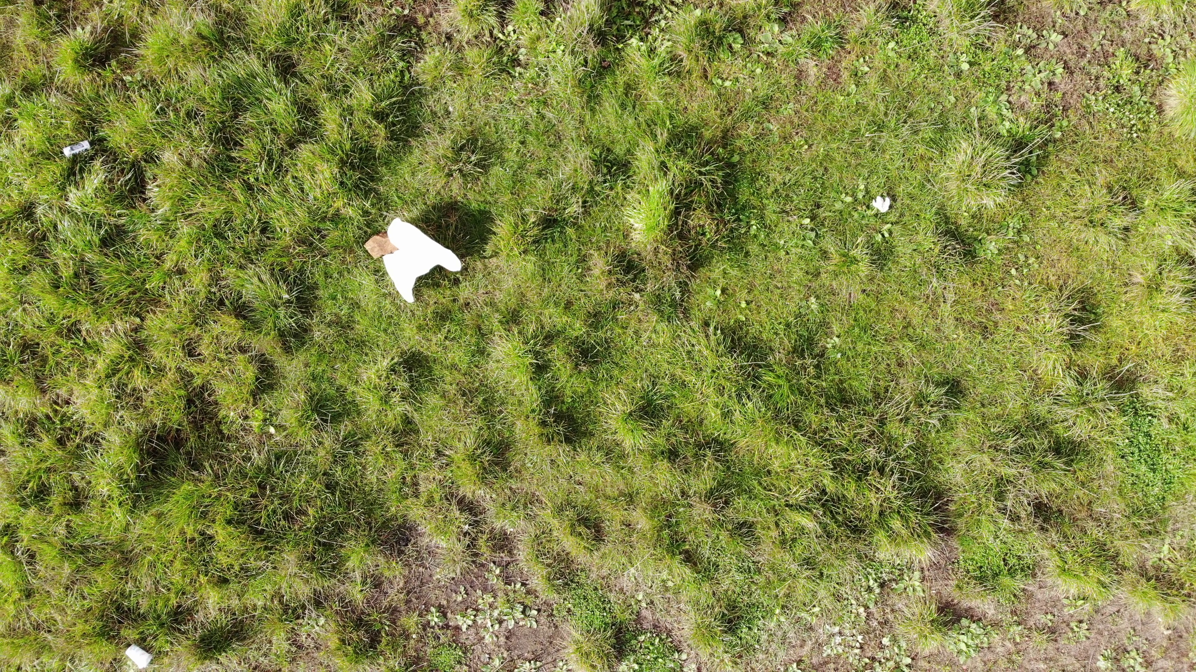 Marine debris Object Detection Model by new-workspace-joxq6