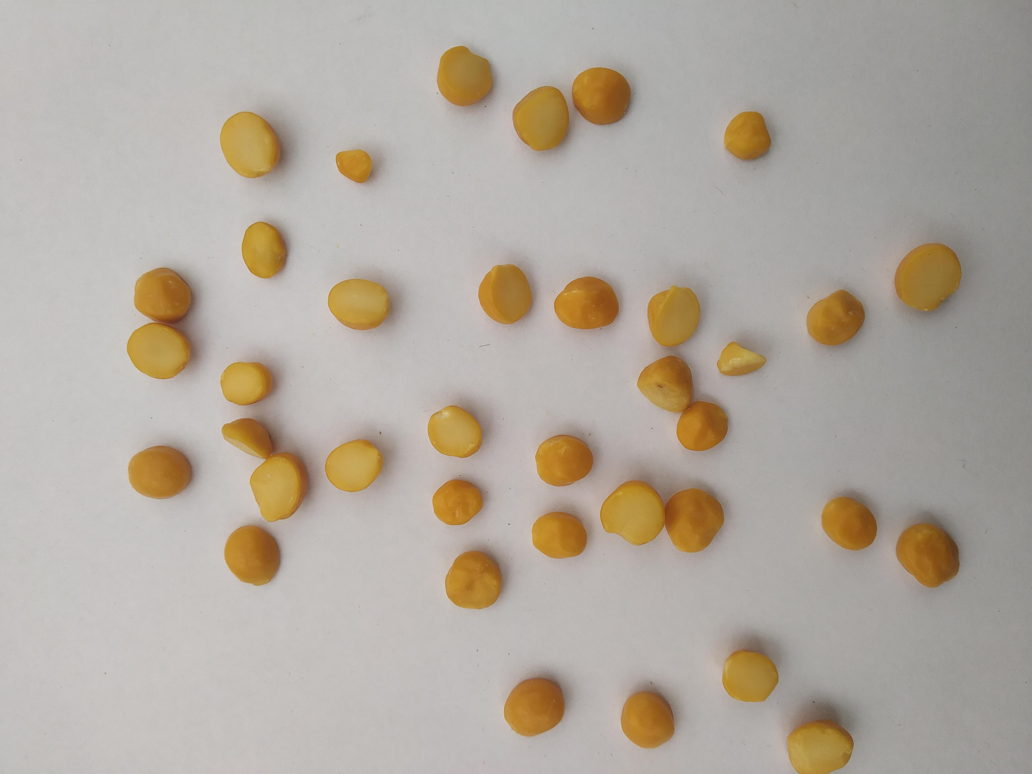 Texture Analysis Of Pulses Object Detection Dataset By Keerthana