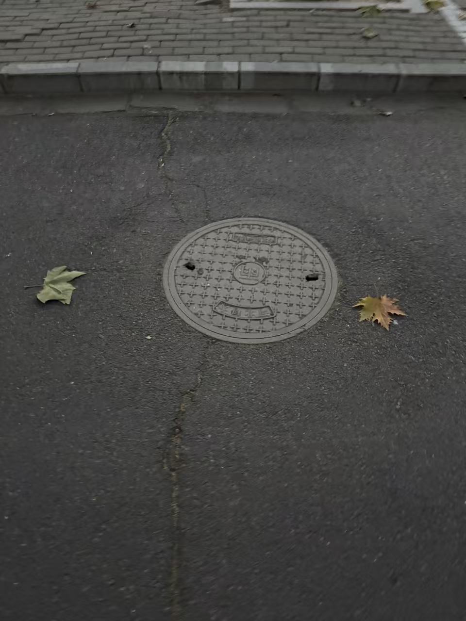 mjj (mjj-d0csf) - Roboflow Universe