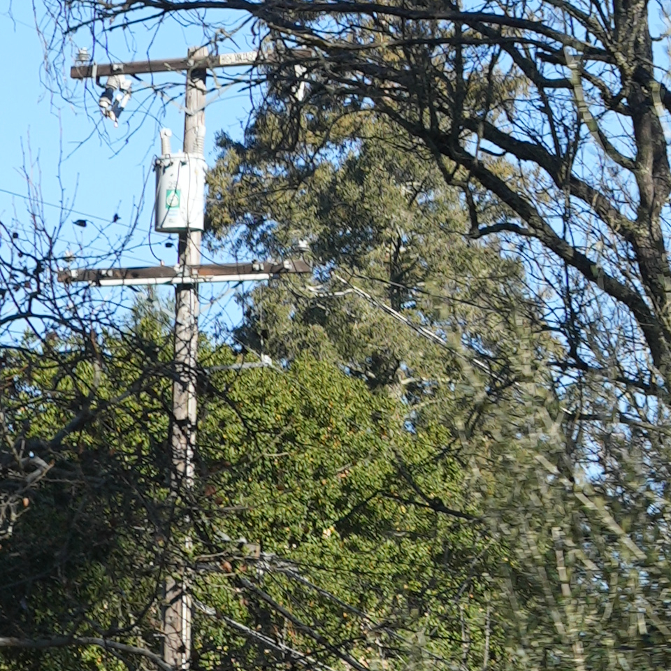 Asset3 Object Detection Dataset by Demo1