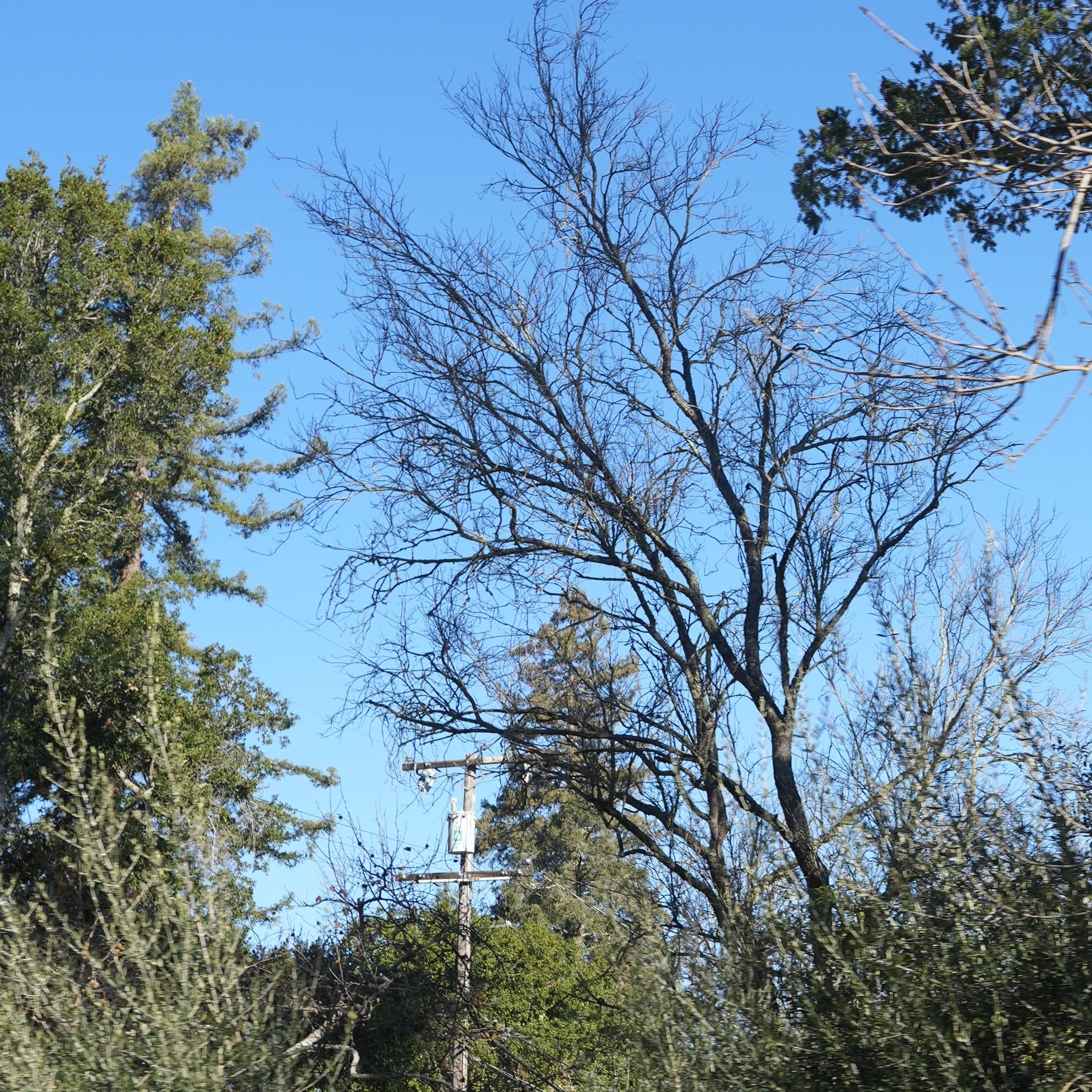 Asset2 Object Detection Dataset by Demo1