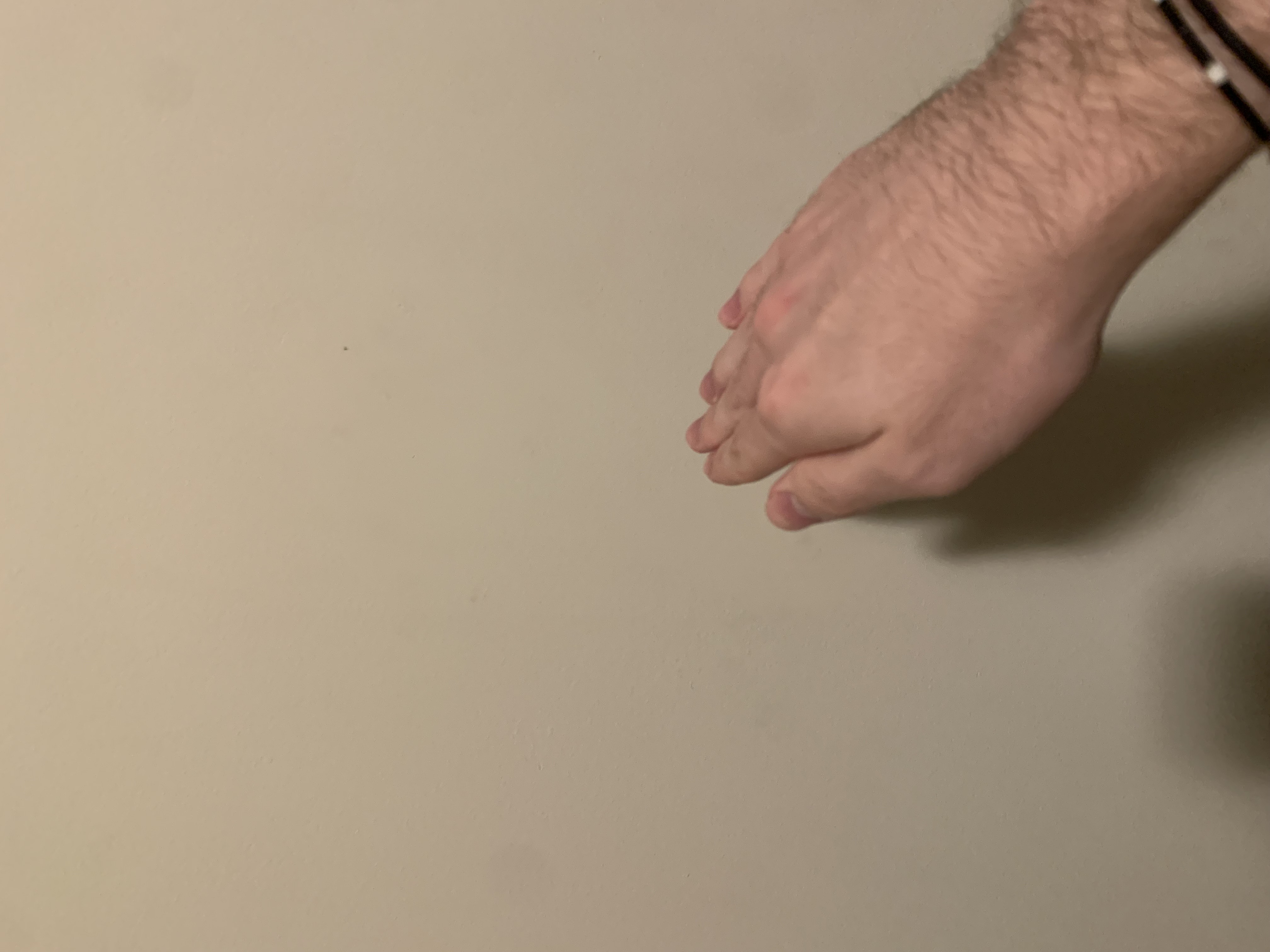 Rock Paper Object Detection Model by Rock Paper Scissors