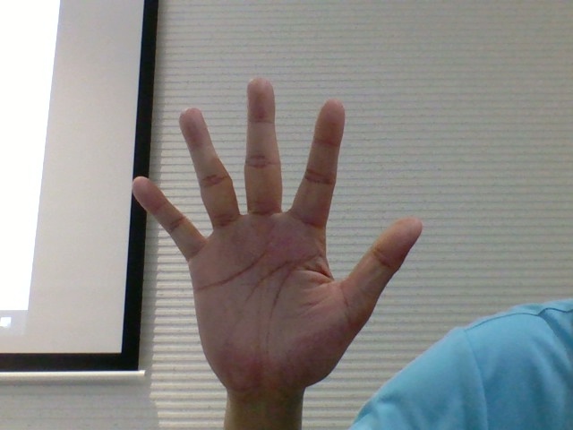 HAND-3-Class Object Detection Model by PSU