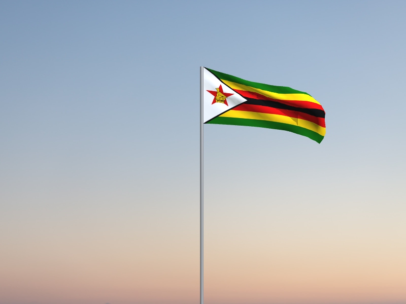 flags Object Detection Model by skyxpert