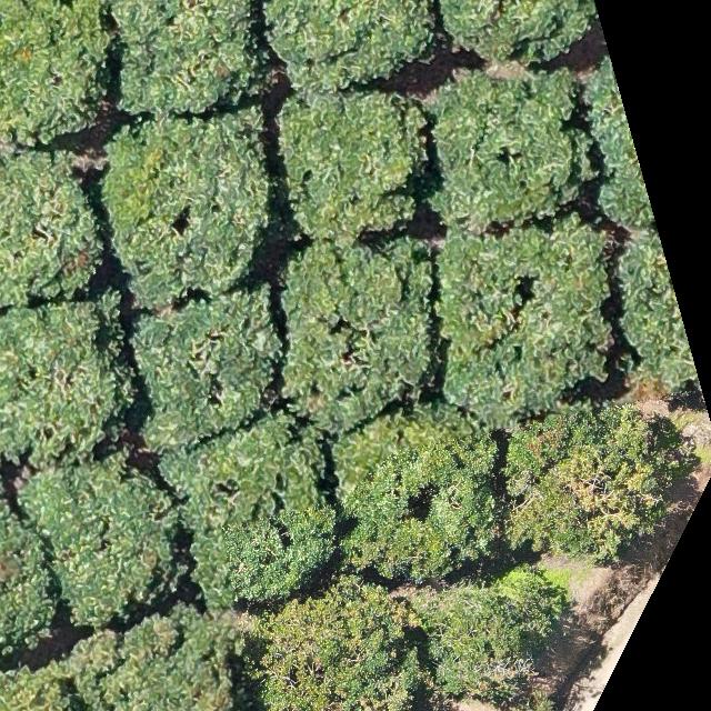 Total_Trees_Count Object Detection Model by SIH2023