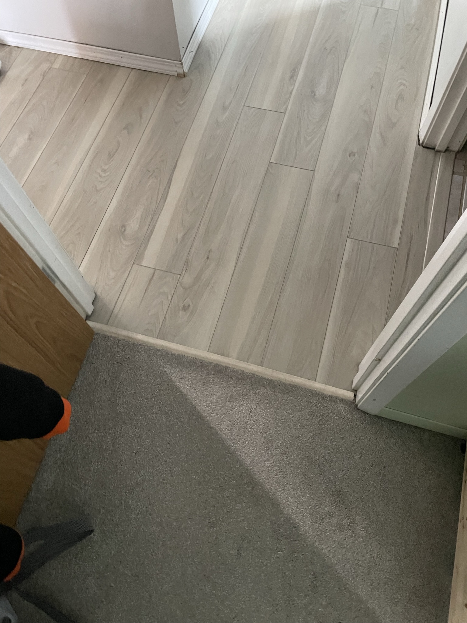 cat detector v2 Object Detection Dataset by Michael Judge