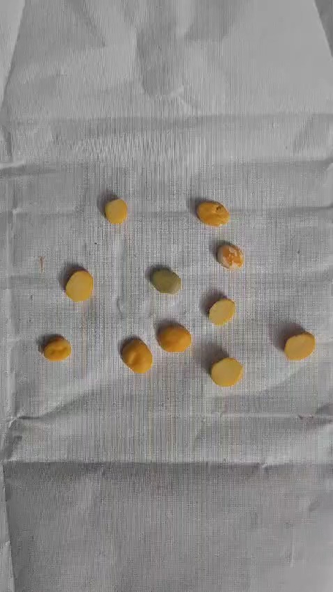 Seed Detection Object Detection Dataset And Pre Trained Model By Seed Detection