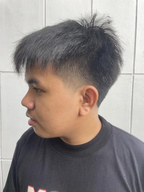 THESIS Object Detection Dataset by JM LLOSA