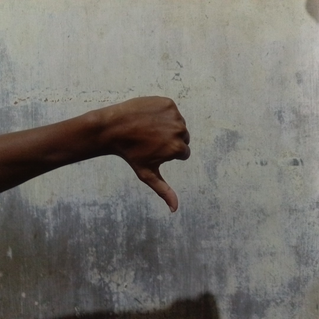 New Project Dolly Object Detection Dataset by projectDolly