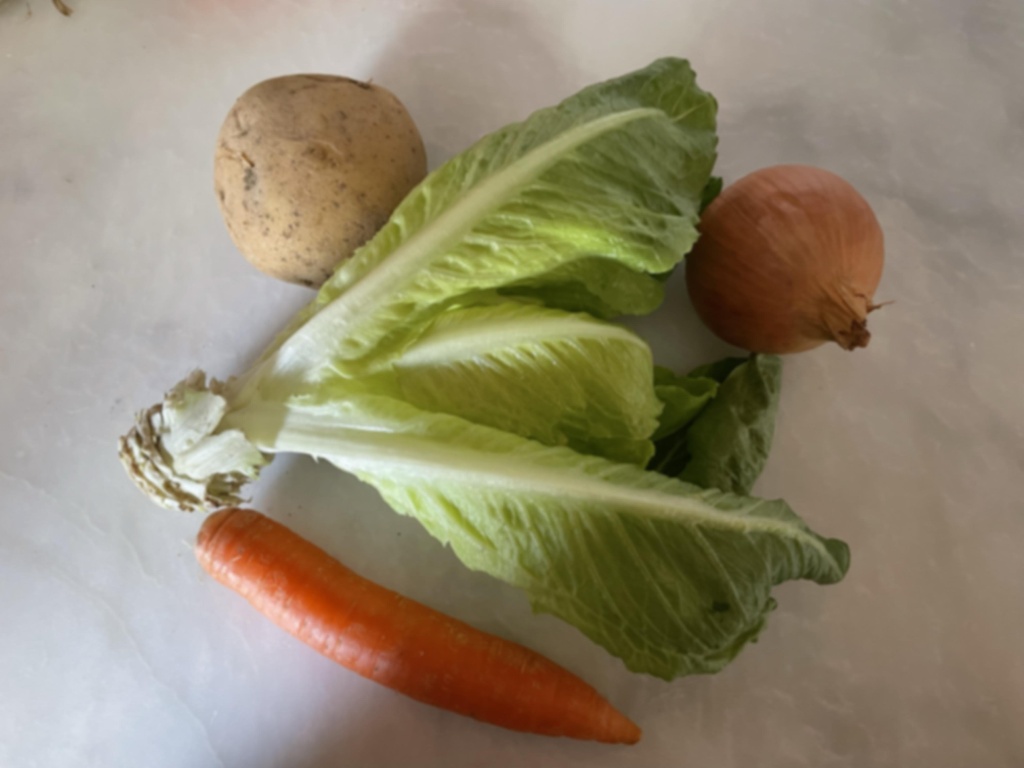 FISH DL - Roboflow Universe