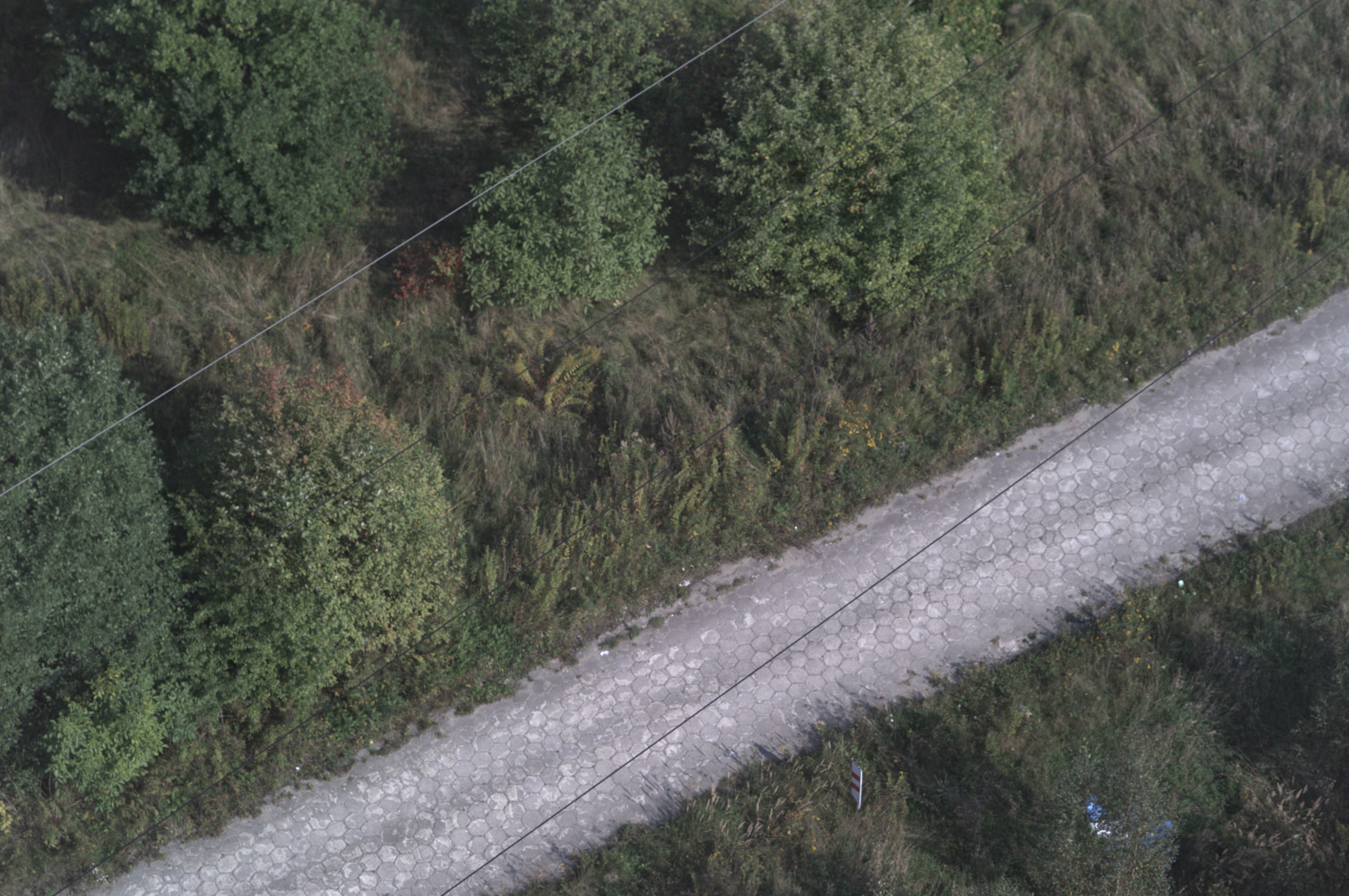Electric Pole Front Object Detection Dataset by Inynierka