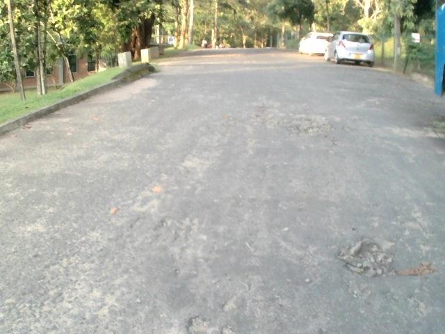 Custom Litter Segmentation Instance Segmentation Dataset by Litter Bot