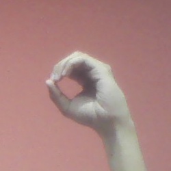 handsign Classification Model by TAT